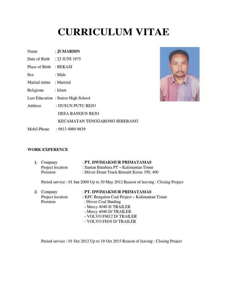 Curriculum Vitae Zainal Arifin | PDF
