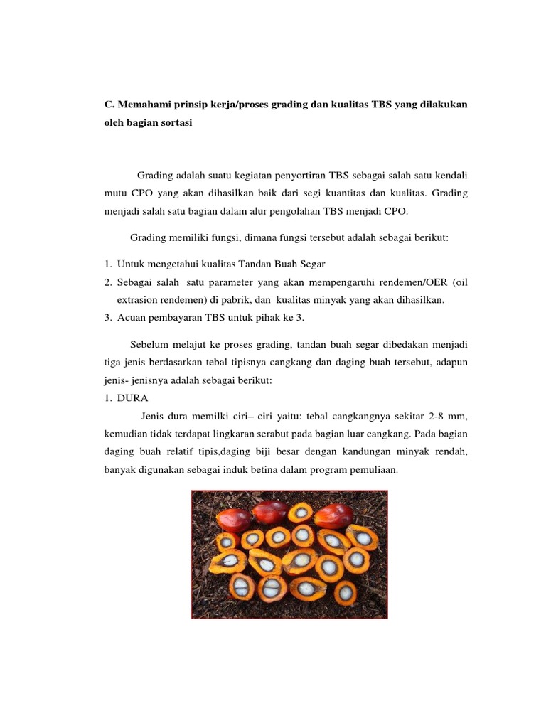 Memahami Prinsip Kerjaproses Grading Dan Kualitas TBS Yang Dilakukan Oleh Bagian Sortasi | PDF
