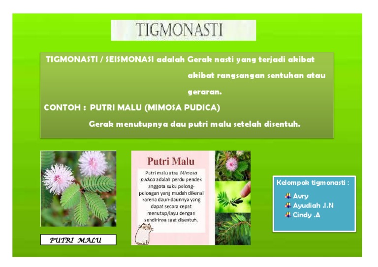 Tig Mona Sti | PDF
