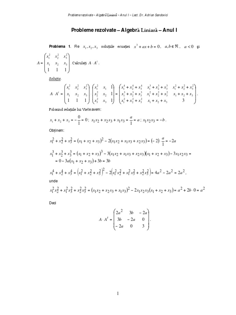 Probleme Rezolvate - Algebra Liniara PDF | PDF