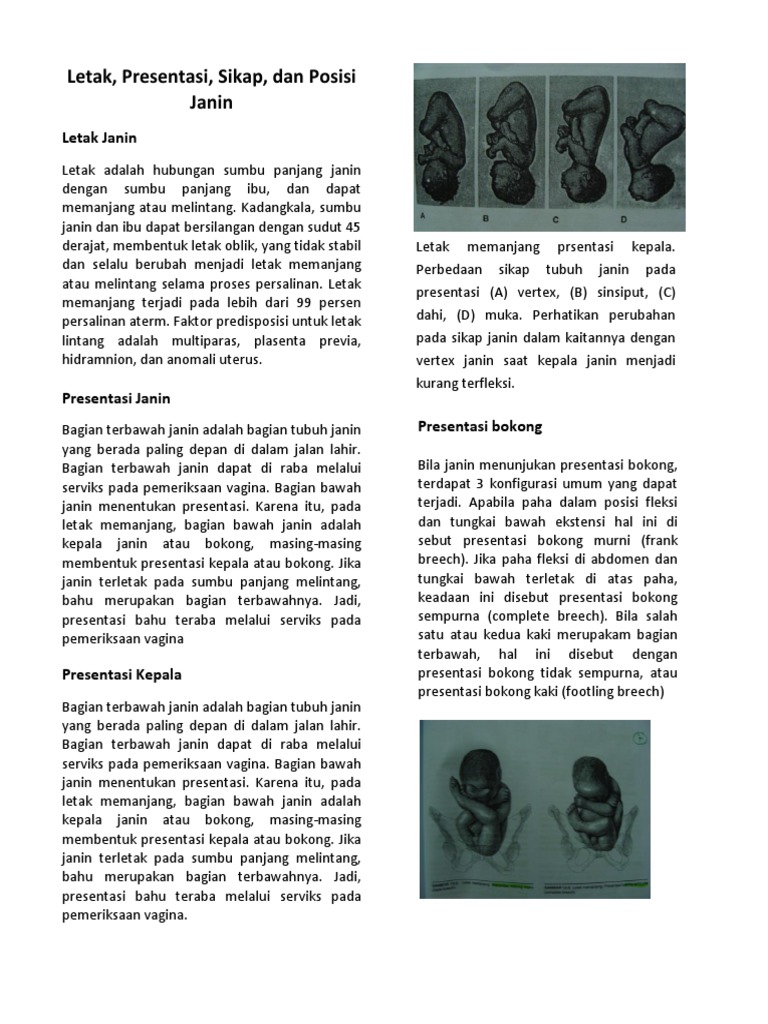 Letak Bentuk Dan Posisi Janin | PDF
