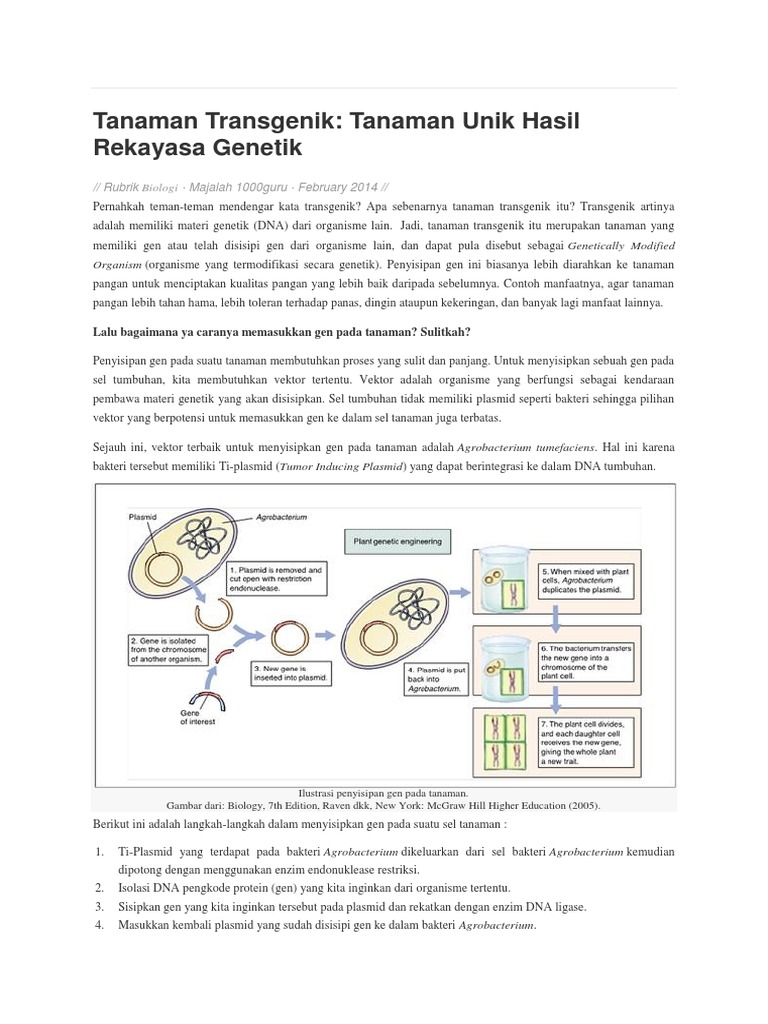 Tanaman Transgenik | PDF