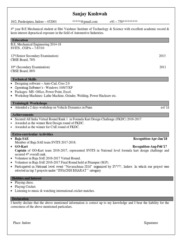 RESUME Sampl by Snjy | PDF