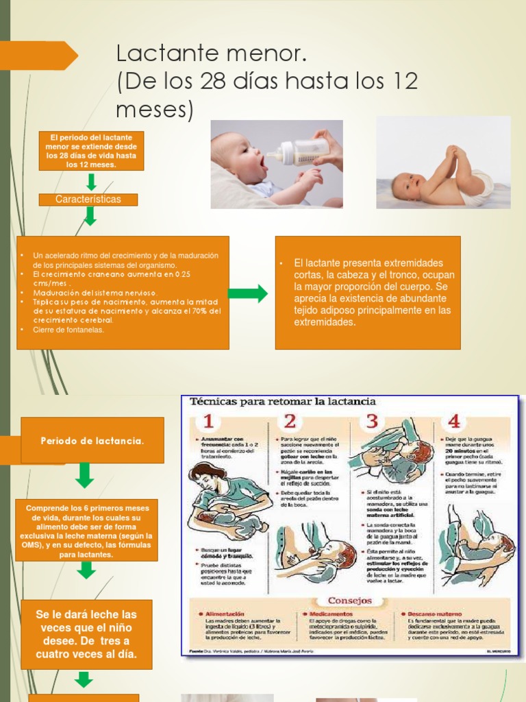 Lactante Menor y Mayor | PDF | Amamantamiento | La leche materna
