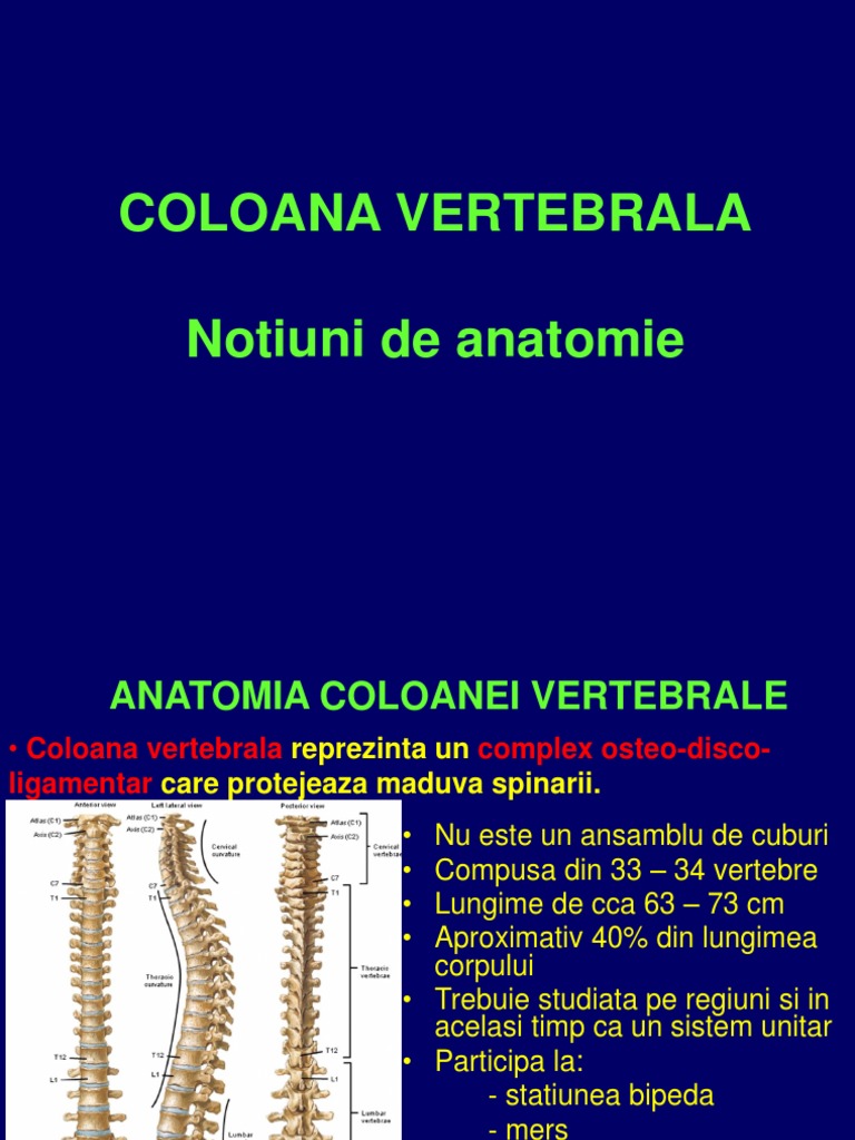 253209730-2-Notiuni-de-anatomie-normala-a-coloanei-vertebrale-si ...