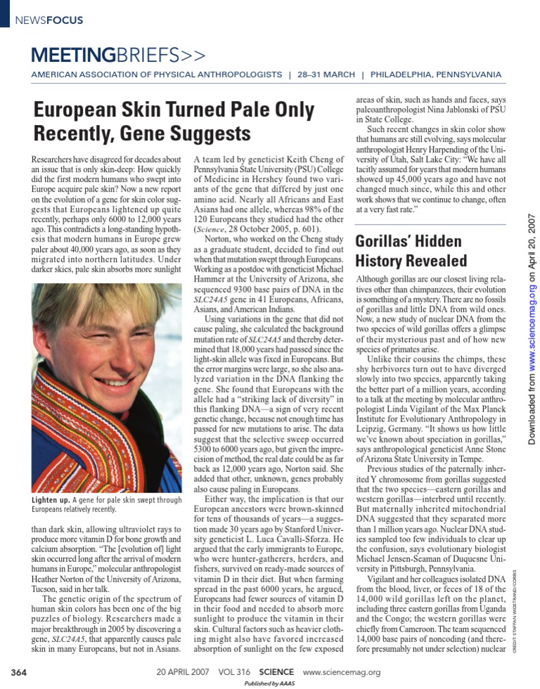 Blanche Paleur | PDF | Mutation | Human Skin Color