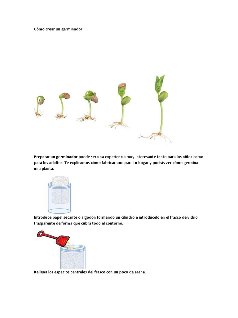 C Mo Crear Un Germinador | PDF C Mo Crear Un Germinador | PDF