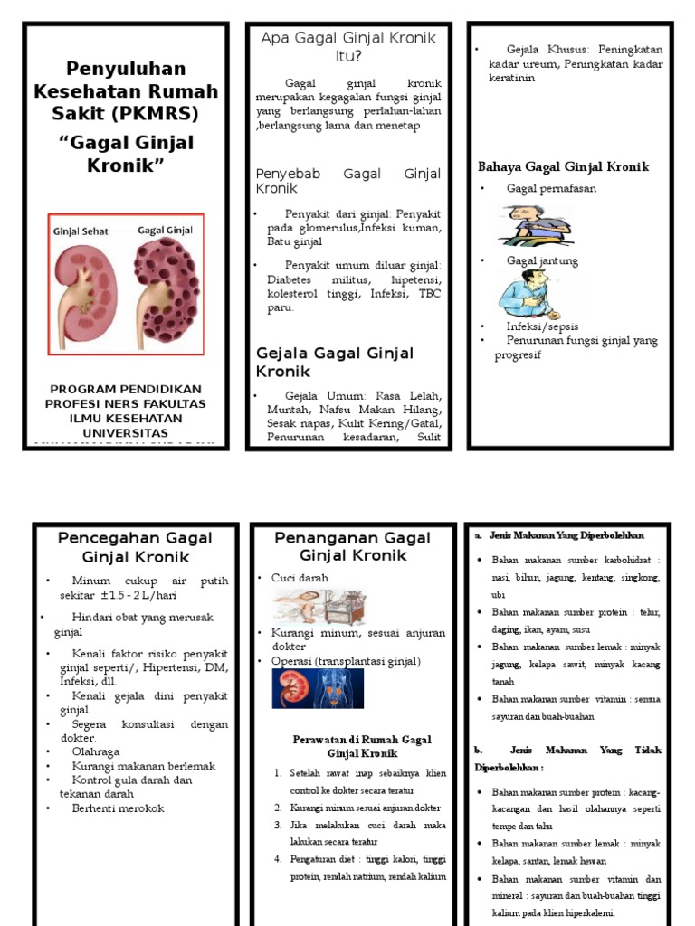Leaflet CKD | PDF