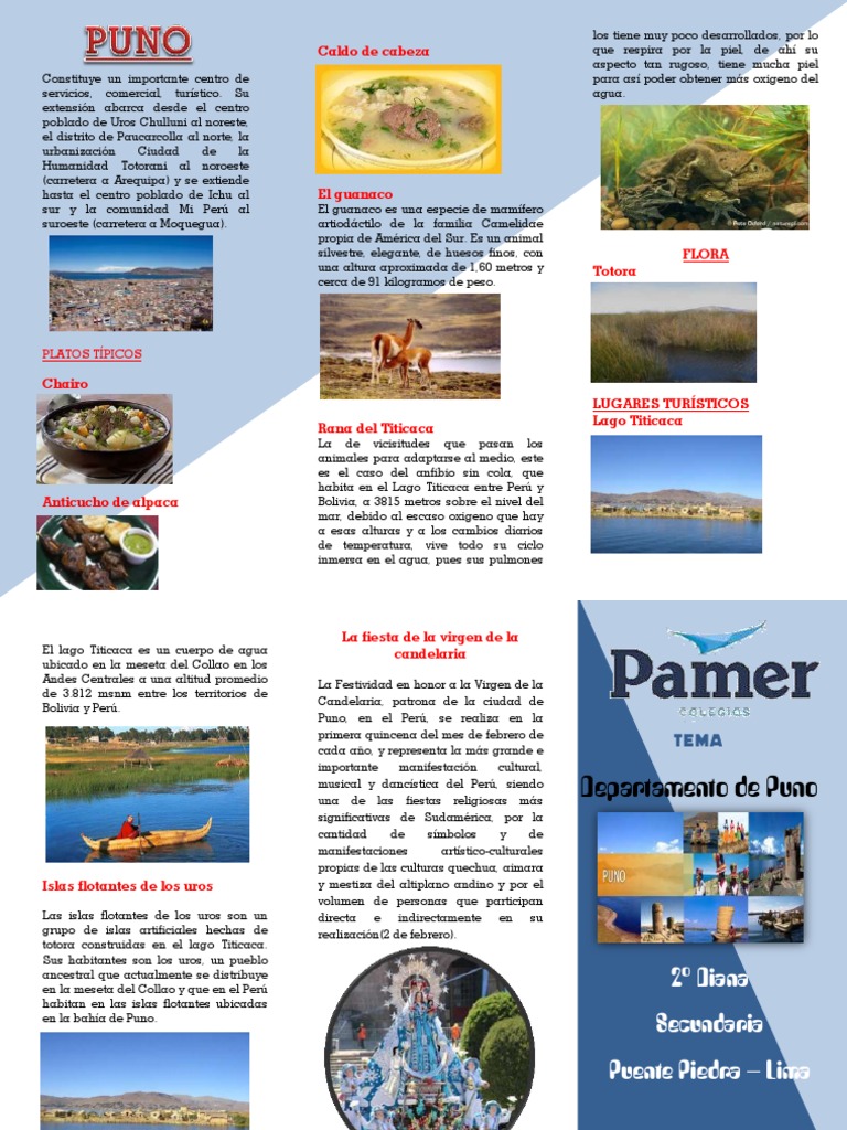 Triptico Depatamento Puno - Matias | PDF | Naturaleza