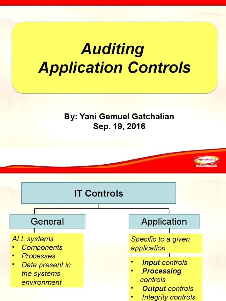 Auditing Application Controls | PDF | Computing | Areas Of Computer Science