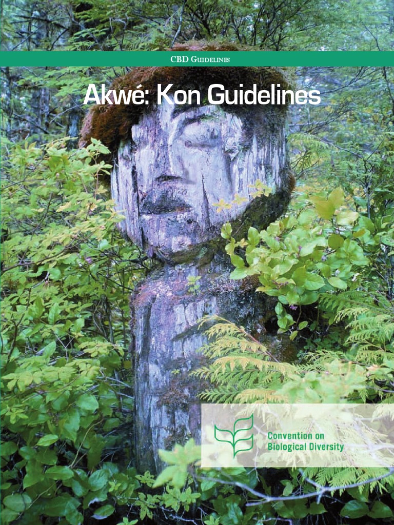 Akwe Brochure en PDF | PDF | Traditional Knowledge | Environmental ...