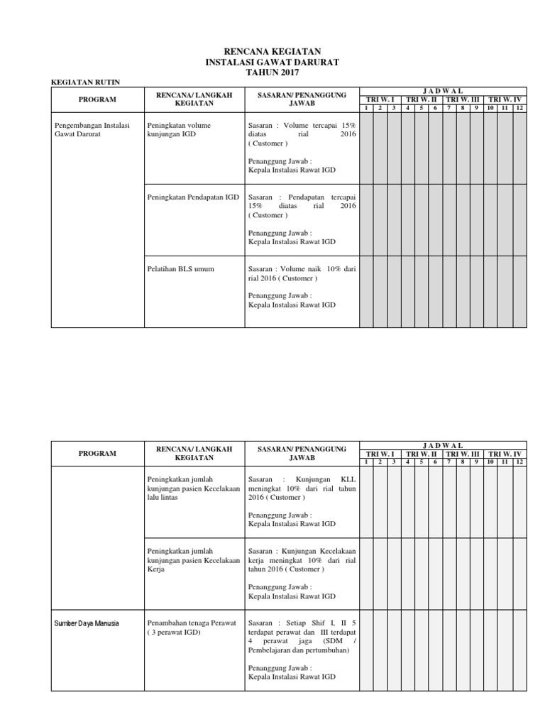 Rencana Program Kerja IGD 2017 | PDF