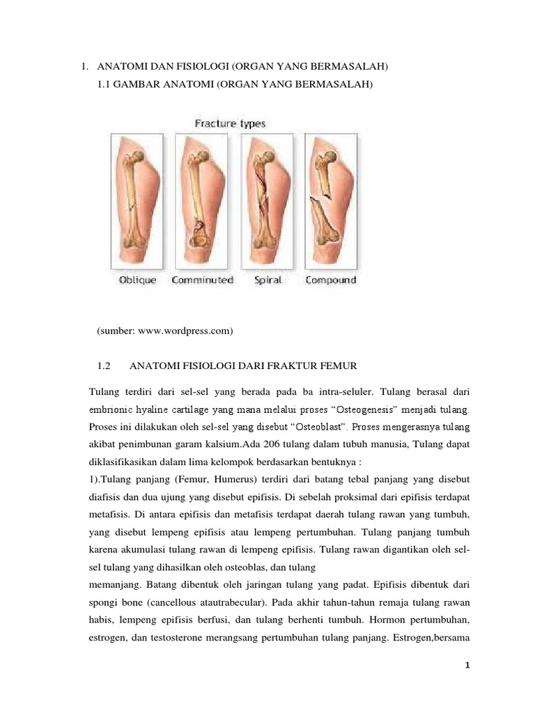 LP Fraktur Femur | PDF