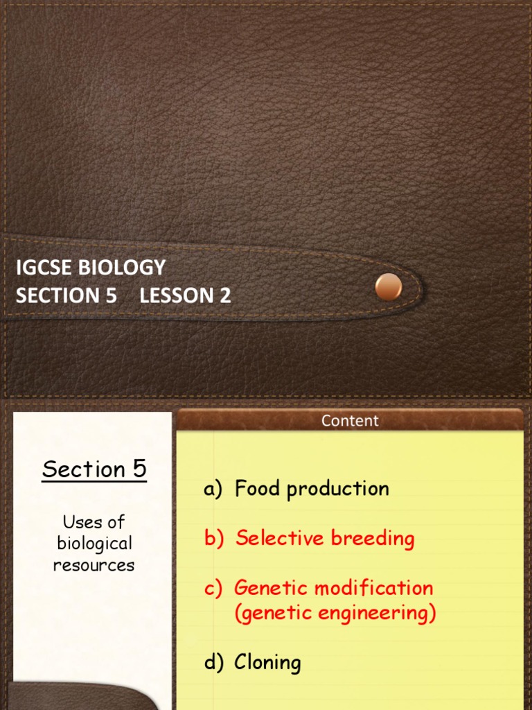 IGCSE Biology: Selective Breeding & GM | PDF | Plasmid | Genetic ...