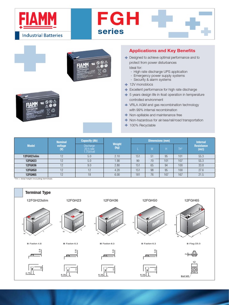 FIAMM Oversigt FGH PDF | Download Free PDF | Rechargeable Battery | Science