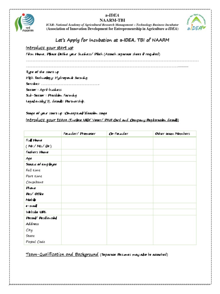 a-IDEA Business Incubation Template.docx | Entrepreneurship | Marketing