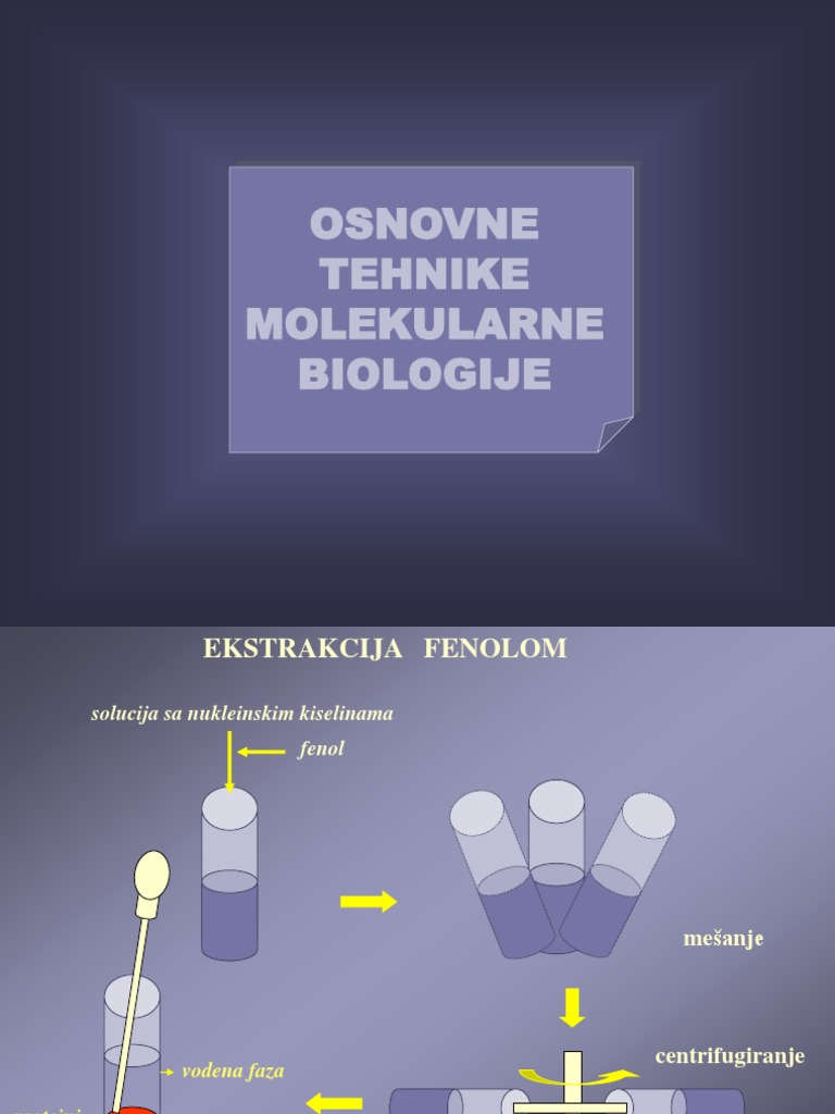 19.osnove Tehnike Molekularne Biologije | PDF