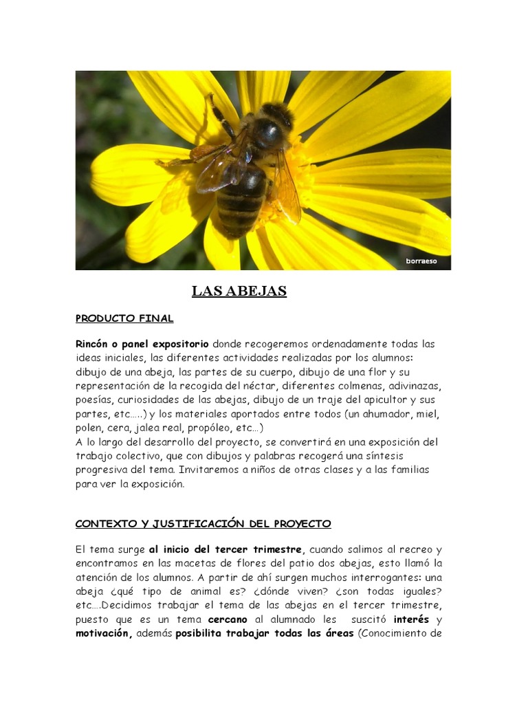 Proyecto Final Las Abejas | PDF | Apicultura | Abejas