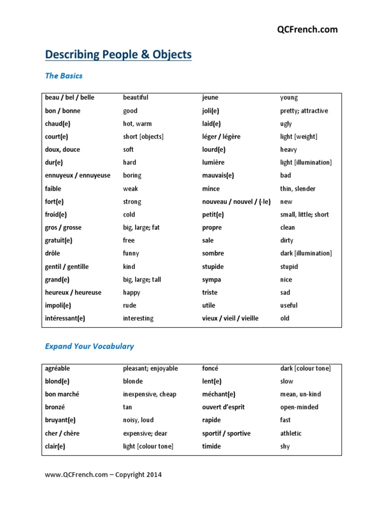 French Describing PPL | PDF