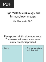 BZZ BZZ BZZ: Sketchy Micro | PDF | Streptococcus | Gram Negative Bacteria