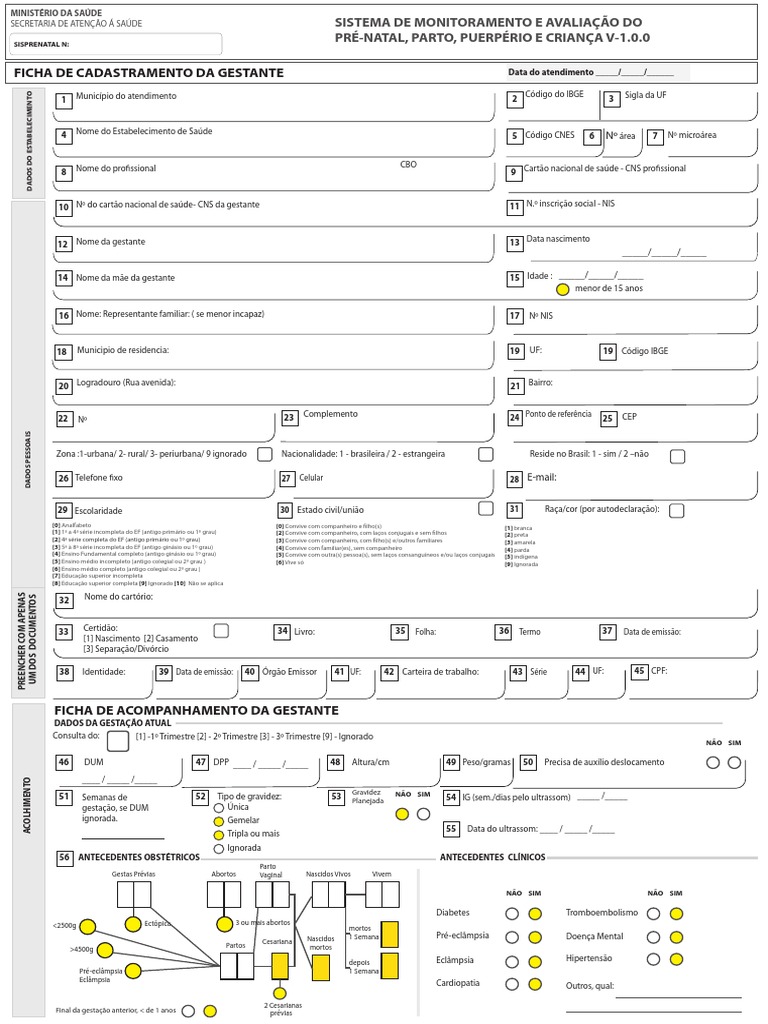 Ficha Pré-Natal | PDF | Gravidez | Saúde pública