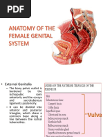 Gynecological Anatomy & Physiology | PDF | Vagina | Uterus