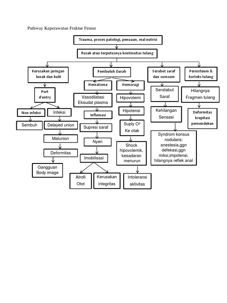 Pathway Keperawatan Fraktur Femur | PDF