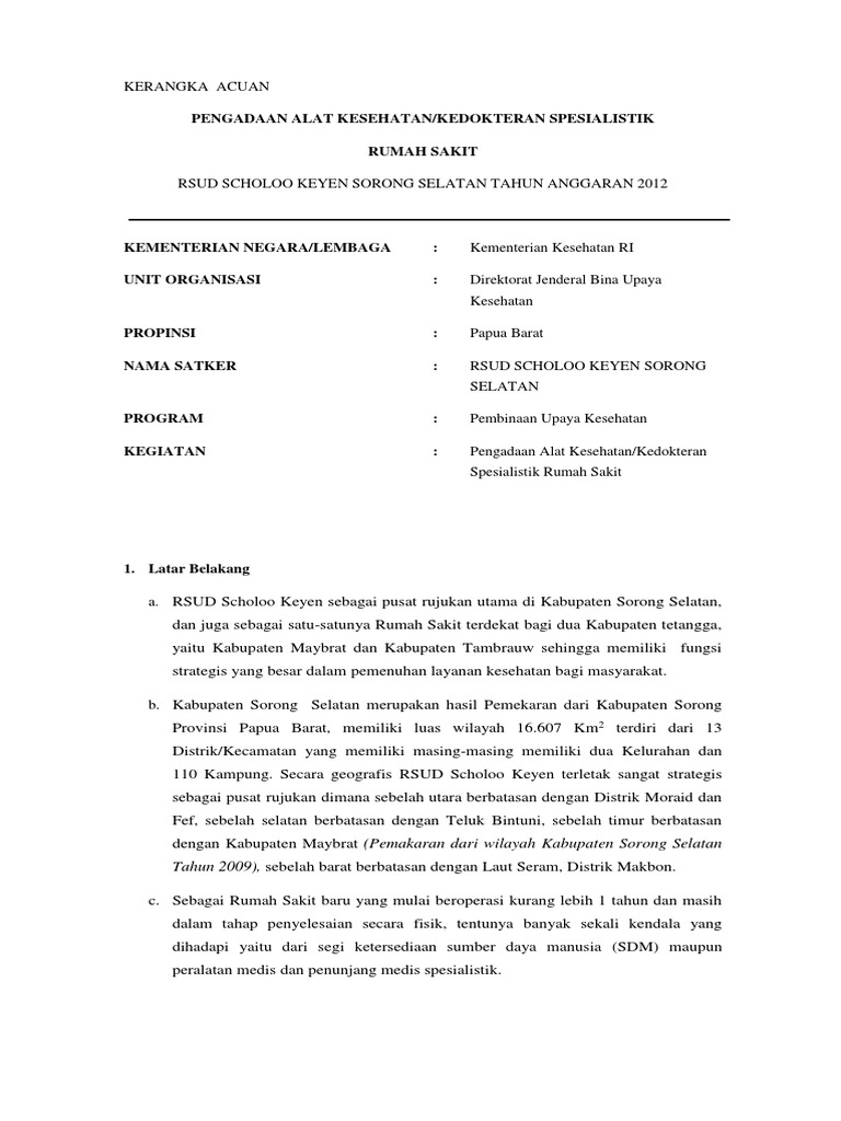 Pengadaan Alkes RSUD Scholoo Keyen 2012 | PDF