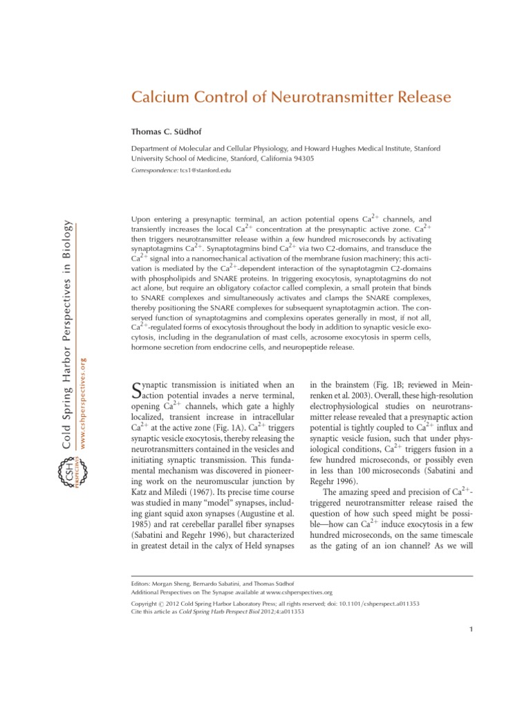 Calcium Control of Neurotransmitter Release PDF | PDF | Chemical ...