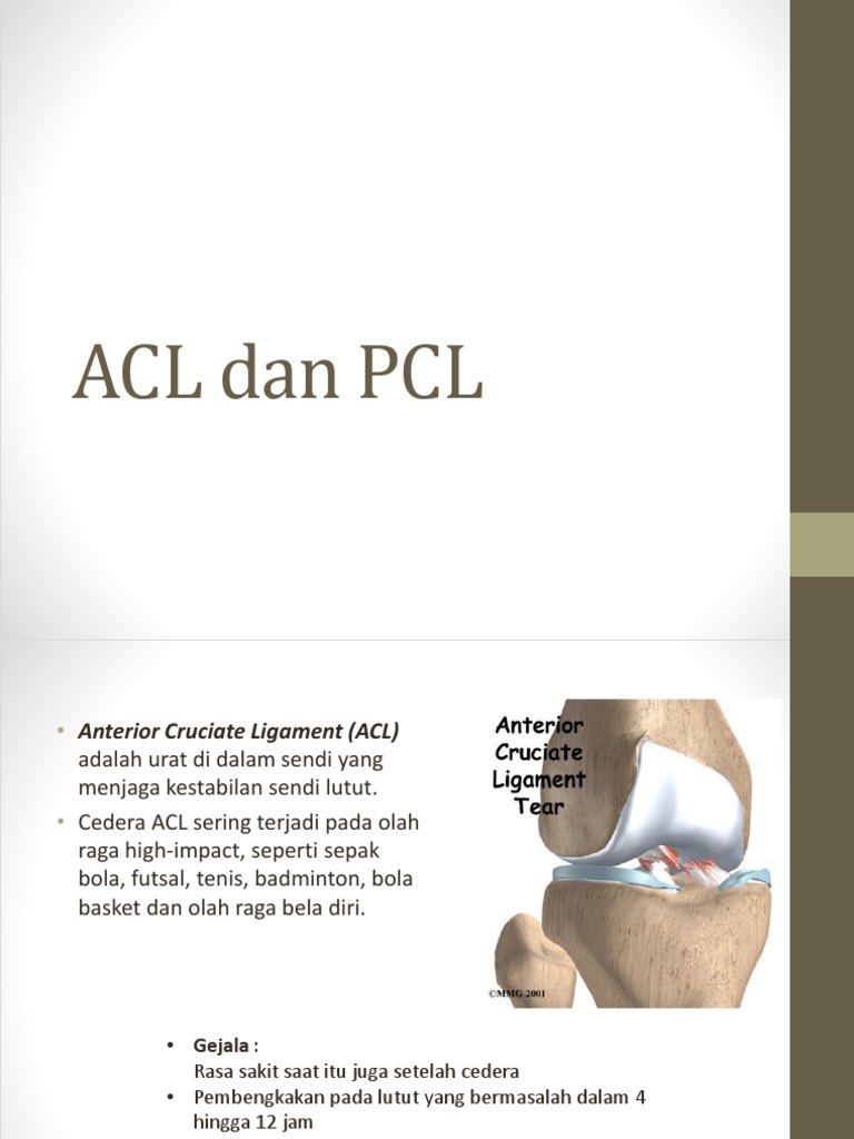 ACL Dan PCL | PDF