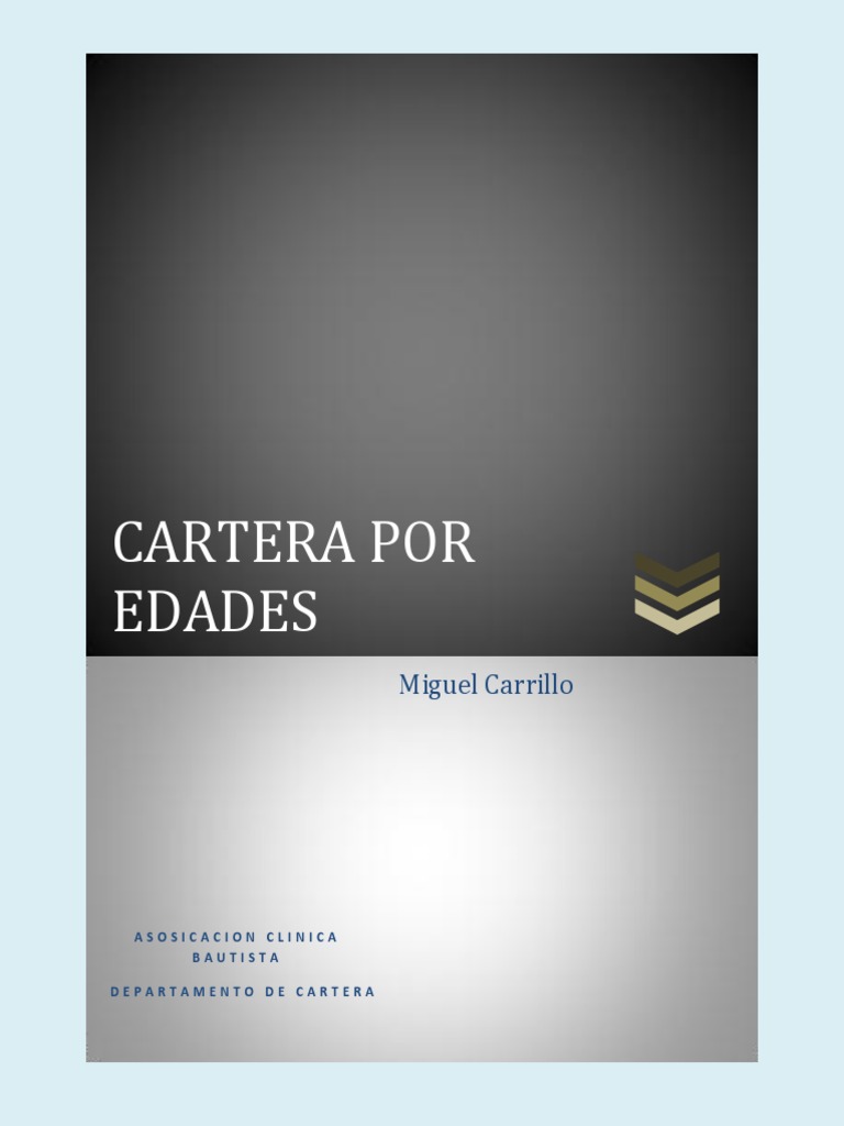 Informe de Cartera por Edades en Excel | PDF | Archivo de computadora ...