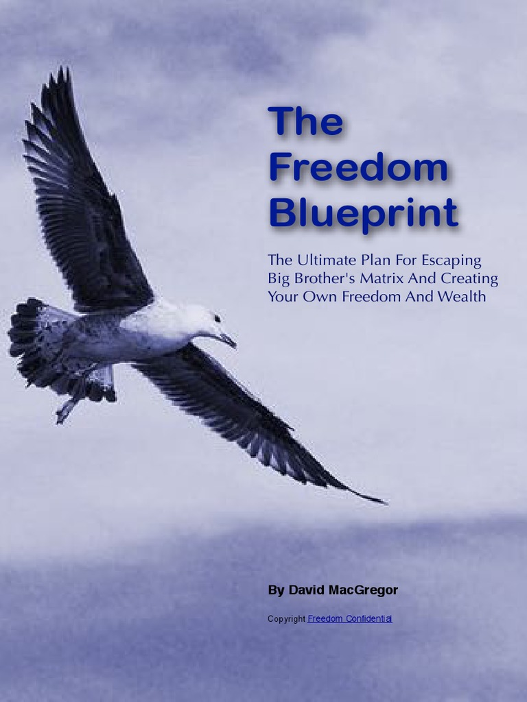Freedom Blueprint | PDF | Phonics | Communism
