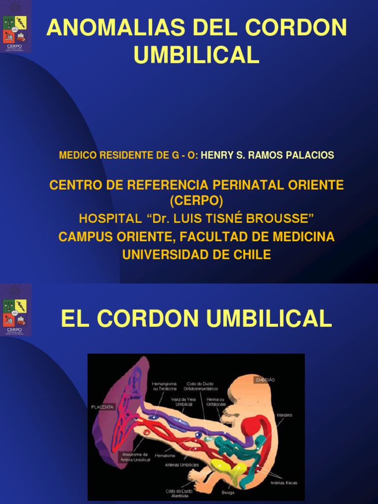 Cordon Umbilical | Placenta | Parto