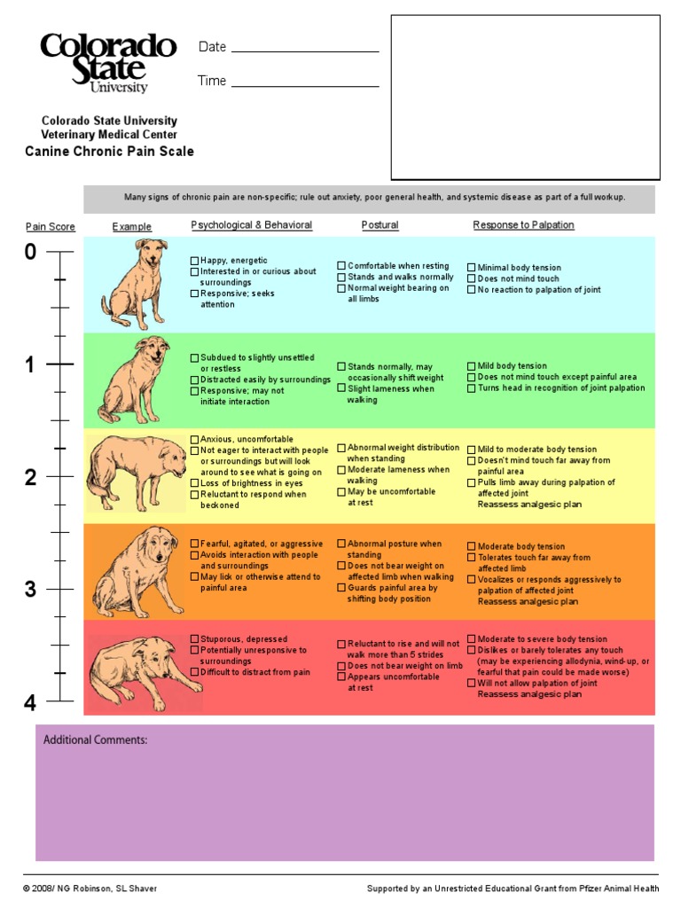 chronic k9 pain scale | Pain | Anxiety