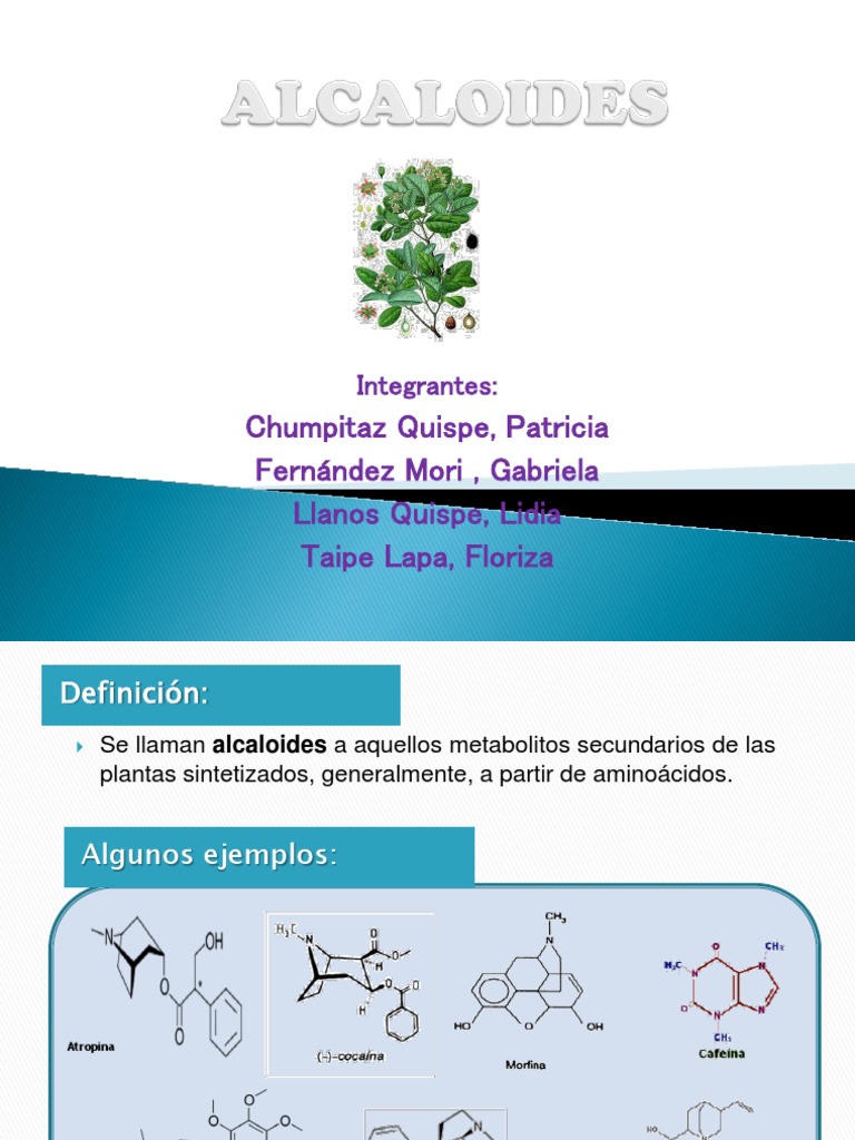 Q o III Alcaloides A Partir de P N Expfb6n1 | PDF | Alcaloide | Solubilidad