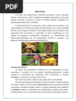 Cruzadinha Sobre Os Fungos PDF | PDF