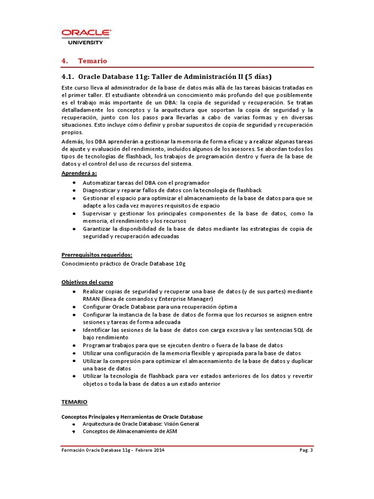 Temario Oracle 11g | PDF | Base de datos Oracle | Apoyo