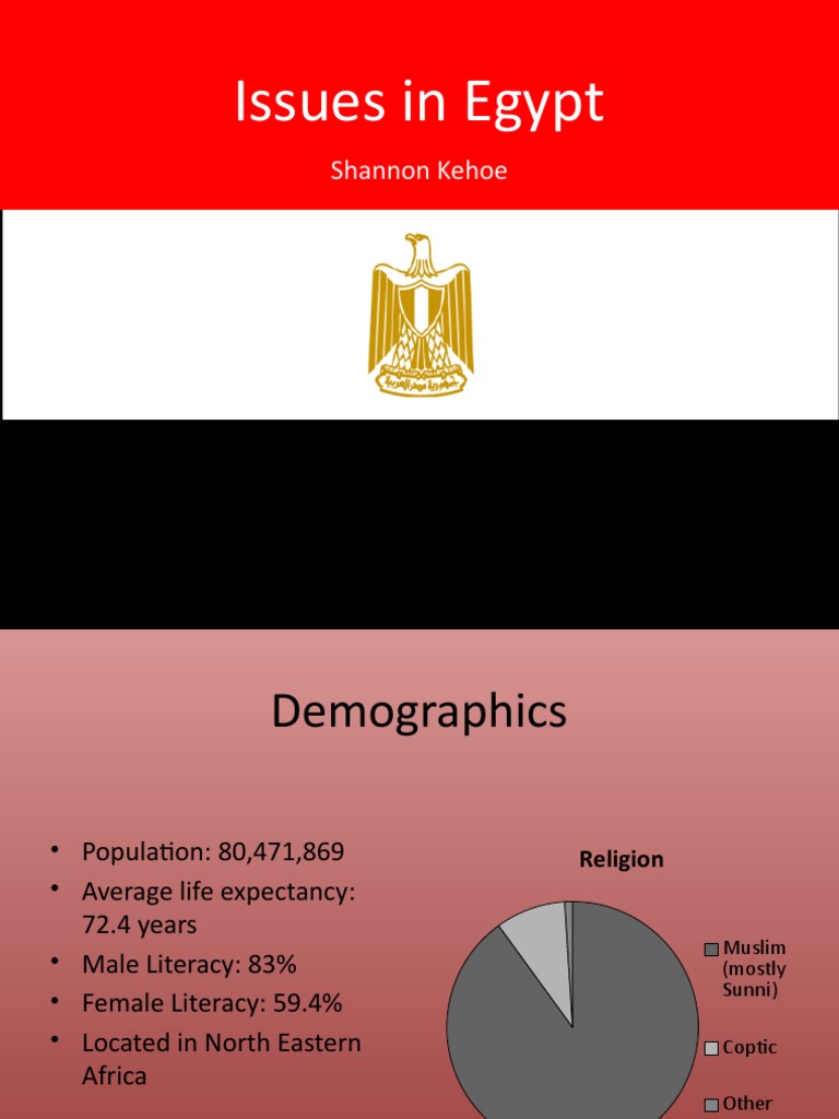 Egypt's Political, Economic, and Social Issues | PDF | Nature | Egypt