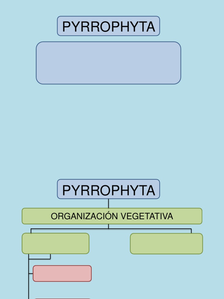 PYRROPHYTA | PDF | Salud y bienestar