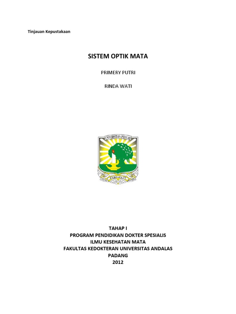 Sistem Optik Mata | PDF