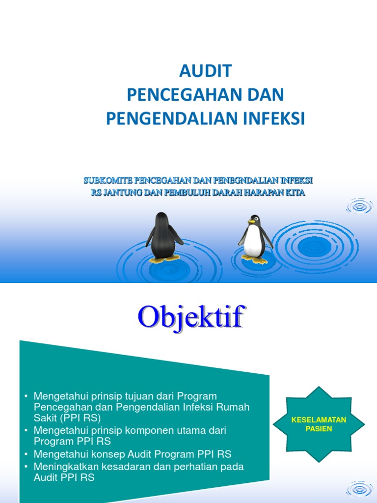 Audit PPI: Meningkatkan Keselamatan Pasien | PDF