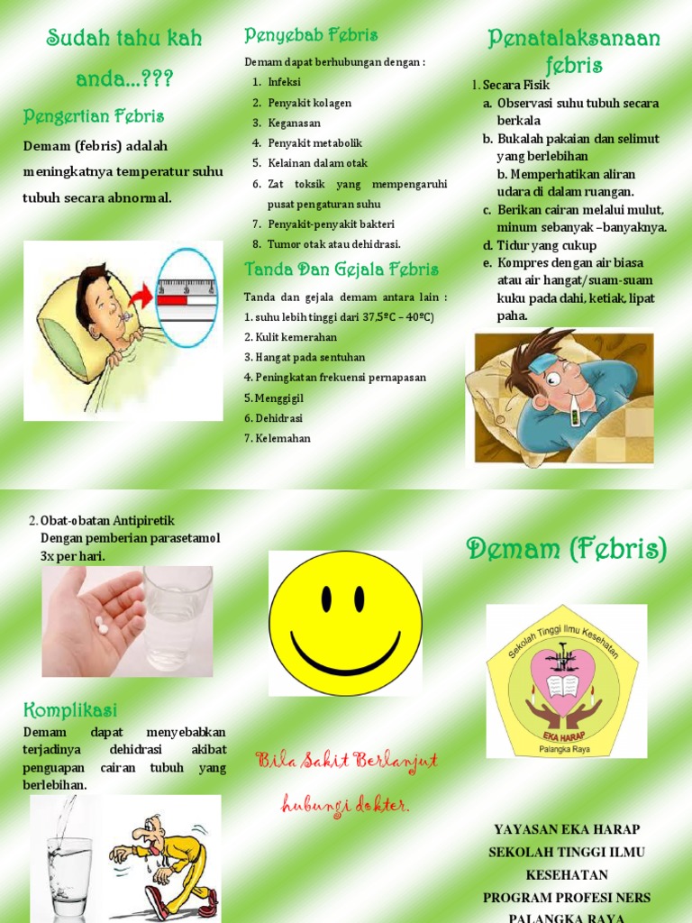 Febris Leaflet | PDF