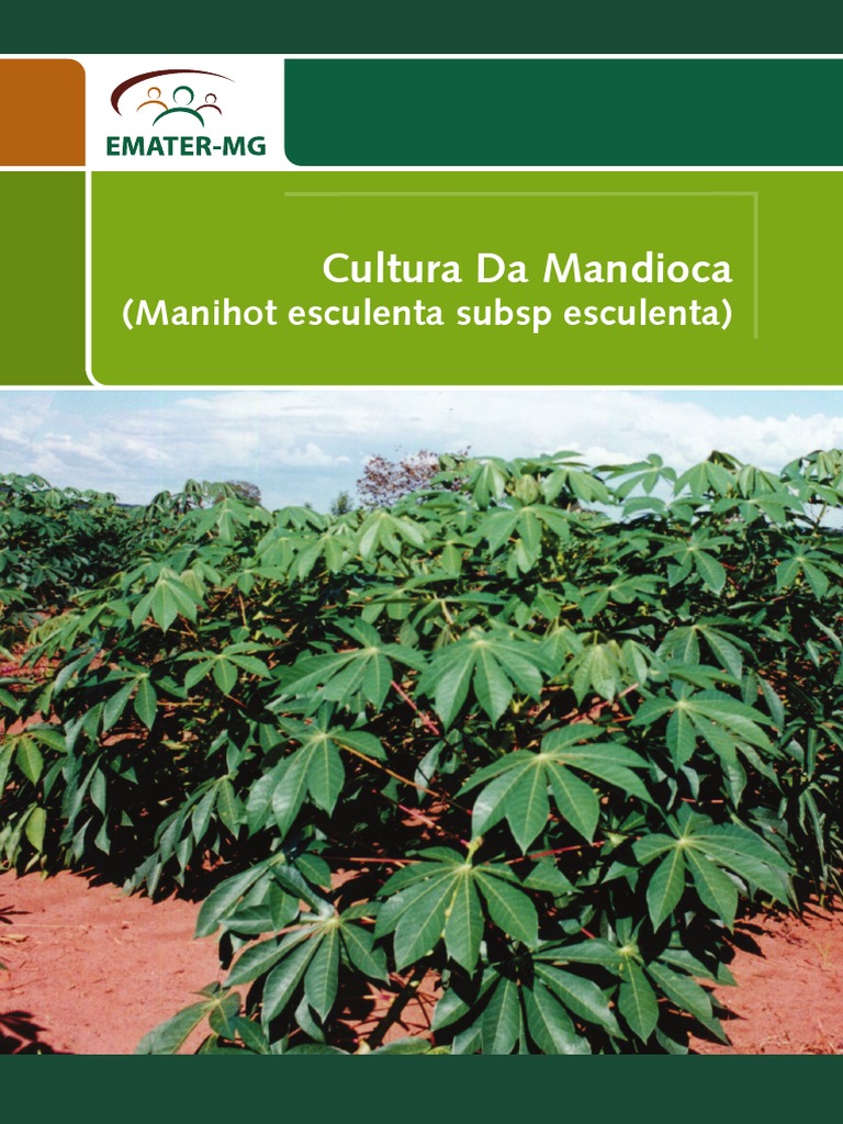 cultura da mandioca.pdf