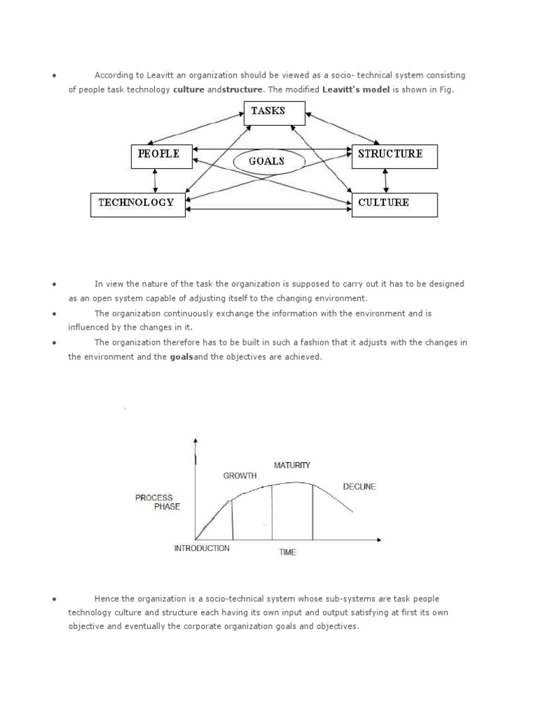 Leavitt's Model | PDF | System