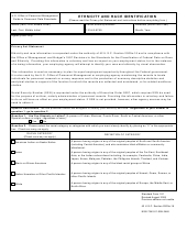 sf-181 | Race And Ethnicity In The United States Census | Social ...