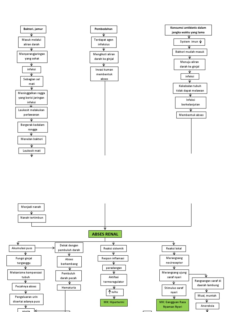 Pathway Abses Ginjal dan Dampaknya | PDF