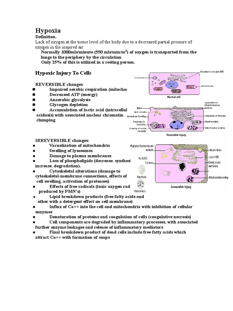 Hypoxia: Hypoxic Injury To Cells | PDF | Hypoxia (Medical) | Mitochondrion
