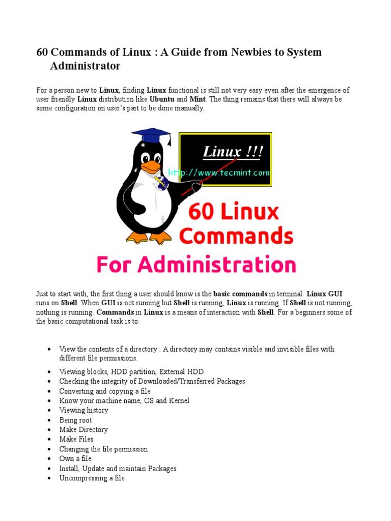 60 Commands of Linux: A Guide From Newbies To System Administrator ...