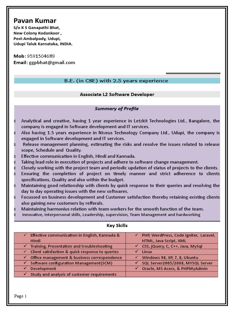 Resume Pavan | PDF | Word Press | Websites