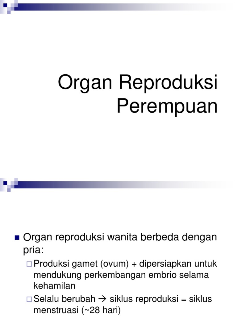 Struktur dan Fungsi Organ Reproduksi Wanita | PDF | Kesehatan Holistik ...